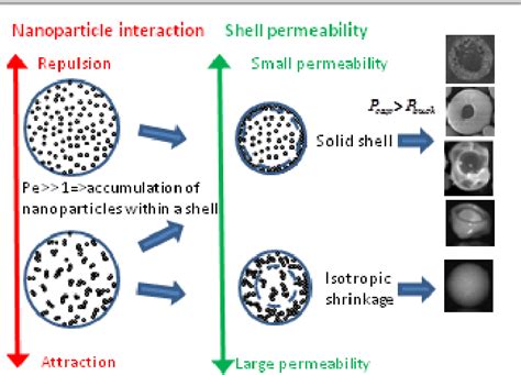 Figure 1 From Control Of Particle Morphology In The Spray Drying Of Colloidal Suspensions