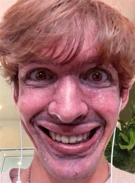 Albert Flamingoalbert Albertflamingo Albert