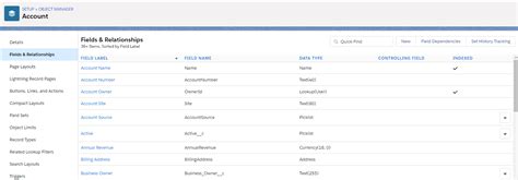 Salesforce Salesforce Lightning Object Manager The Marks Group Small Business Consulting