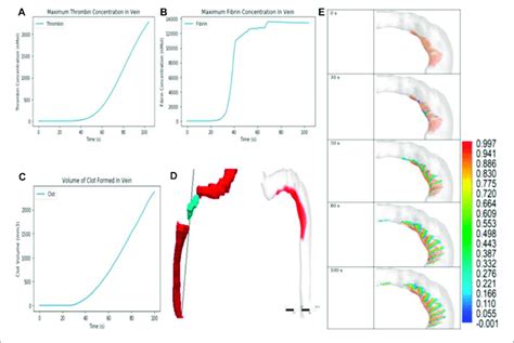 Ab Maximum Thrombin And Fibrin Concentration In The Vein Over