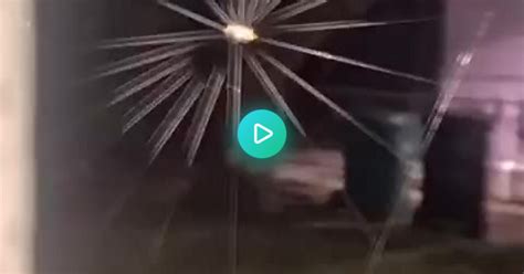 Orb Weaver Spider On Red Bull Album On Imgur