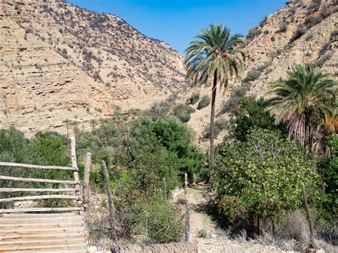 Overnight Hike In Paradise Valley Tayyu Hiking Taghazout