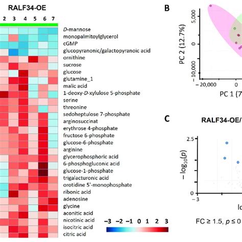 Prediction Of The Sub Cellular Localization Of Proteins Identified As