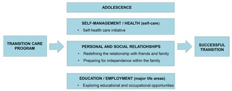 The Framework Of The Transition Care Program Download Scientific Diagram