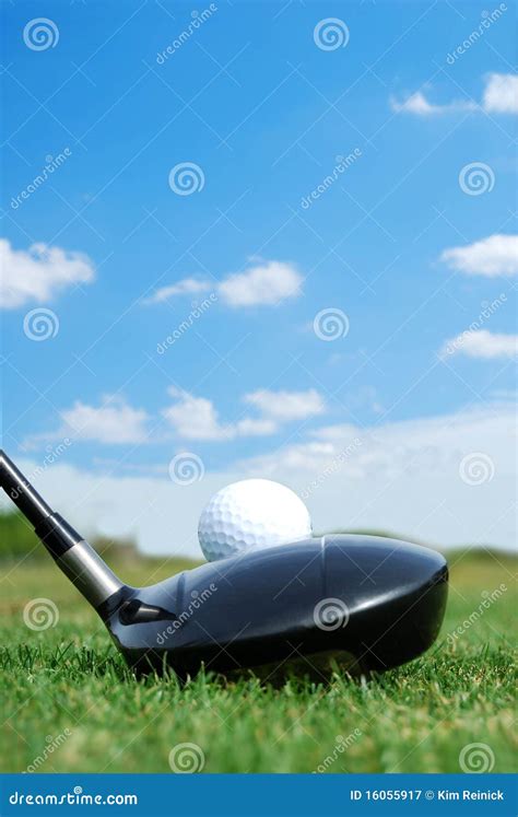 Teed Up Stock Image Image Of Golfing Summer Grass 16055917