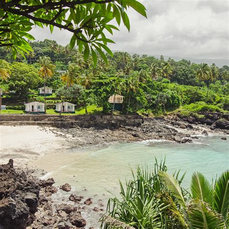 The Sima Comoros V Planifolia Vanilla Beans For Vanilla Extract And Vanillapura