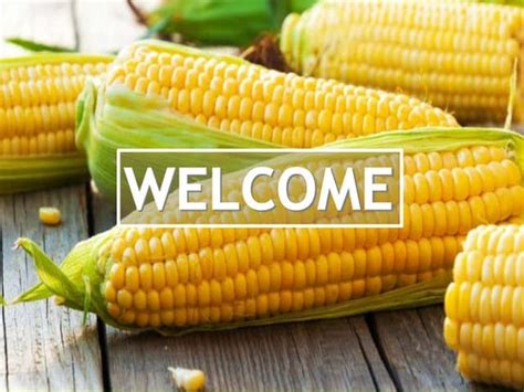 Bioethanol And Its Production Pptx Agriculture Industries