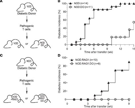 Figure 5 From Targeted Regulation Of Self Peptide Presentation Prevents