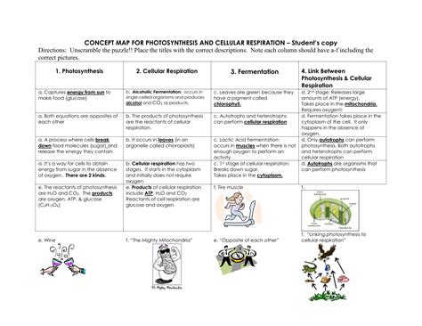 Concept Map Photosynthesis And Cellular Respiration