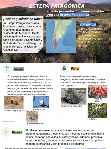 Estepa Patagónica Pdf