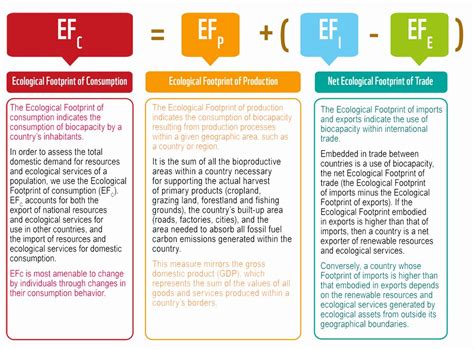50 Ecological Footprint Calculator Worksheet