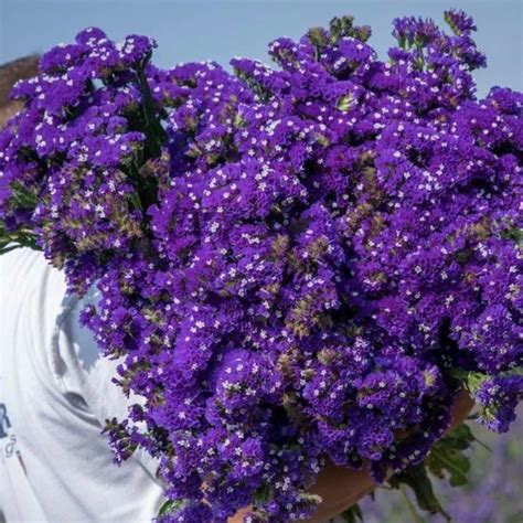 Badreddine E Debbab Posted On Linkedin