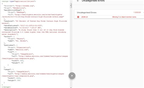 Json Error Missing Or Object Member Name In Google SDTT Stack Overflow