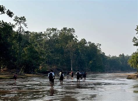 Camping In Mainpat Hill Book Now Rs 1399 7 Off