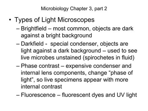Bacteria Identificationpptppt