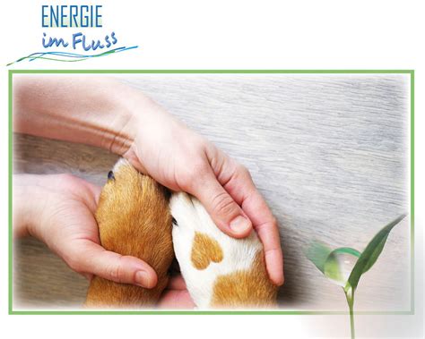 Energetischesheilenbirgitbetzoldmeeder