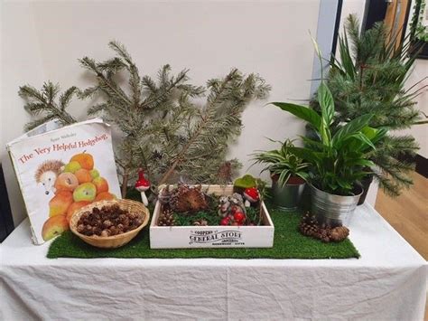 Hedgehog Autumn Provocation Hedgehog Nursery General Store