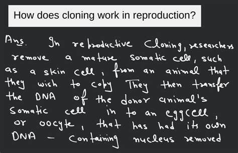 How Does Cloning Work In Reproduction Filo