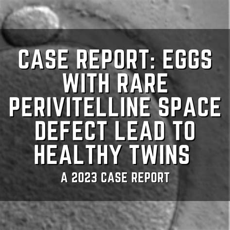 Case Report Eggs With Rare Perivitelline Space Defect Lead To Healthy