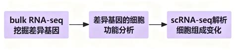 Bulk Rna Seq与单细胞转录组测序整合应用 转录 调控 表达 研究 衰老 健康界