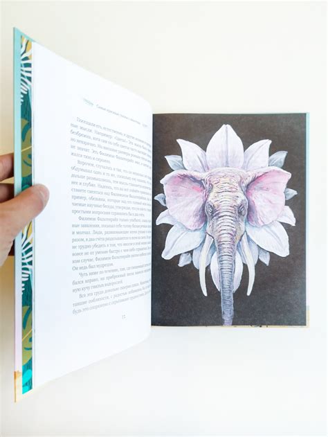 Самые красивые сказки о животных - Vilki Books