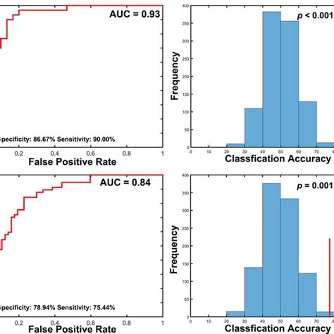 The Classification Results Of Svc Analysis Based On Functional