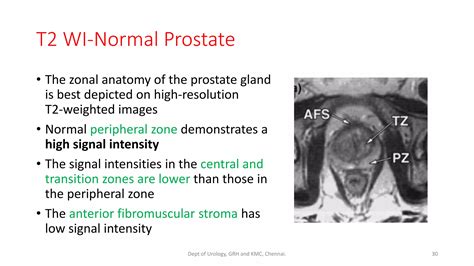 Mri In Urology Pdf