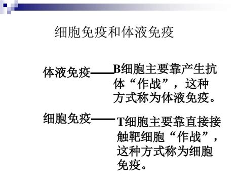 中图版 必修三 细胞免疫和体液免疫 课件45张word文档在线阅读与下载无忧文档