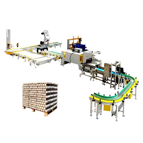 Automated Palletizing System For Shrink Wrapped Bundles Trays China
