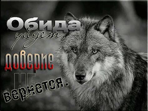 Волк Одиночка 2024 ВКонтакте