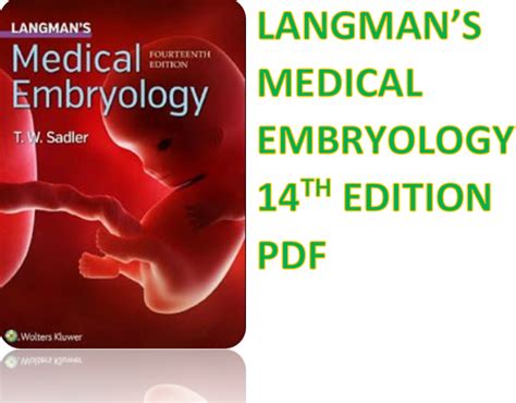 Langmans Medical Embryology Pdf 14th Edition Free Download2021