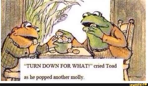 Frog And Toad Memes Best Collection Of Funny Frog And Toad Pictures On