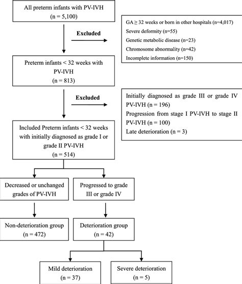 Flow Chart In Selection Of Preterm Infants With Pvivh Initial