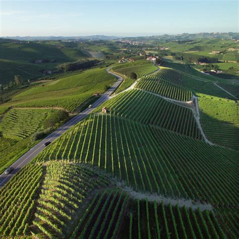 Borgogno No Name Norske Vinklubbers Forbund