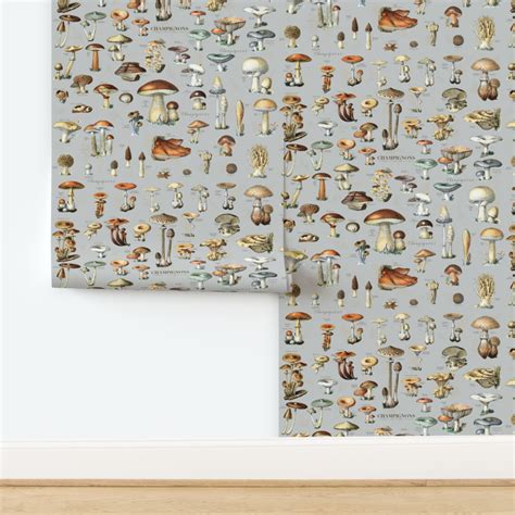 Mushroom Classification Wallpaper In Gray Wallpaper Spoonflower