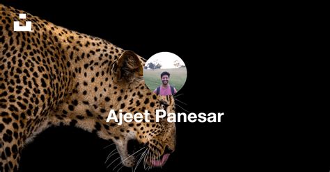 Ajeet Panesar Ajeetpanesarphotography Unsplash Foto Community