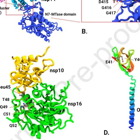 Structural Analysis Of Protein Models Alphafold Models Verified With