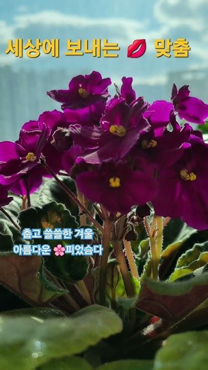 캐서린의사랑 캐서린의영상일기 Youtube