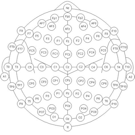 Electrode Mapping System 10 20 Download Scientific