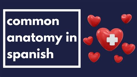 Parts Of The Body In Spanish Spanish Anatomy Medical Spanish 101