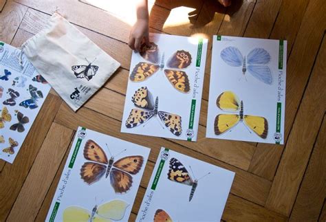 28 Best 12 Australopithecus Prometheus Images On Pinterest Human