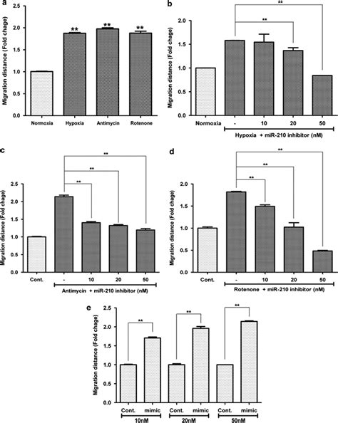 Increased Migration By Mir 210 Asc Migration Was Measured Using Download Scientific Diagram