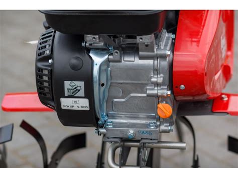 Мотокультиватор Pubert Terro 55p C2 в Молдове Colesomd