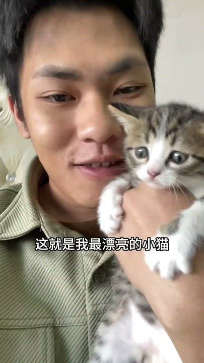 中华狸花猫跟英国短毛蓝白猫的崽崽长大到底有多帅。狸花猫 我和我的怨种猫咪 这小猫谁养谁不迷糊啊 10斤的猫9斤的反骨 Youtube