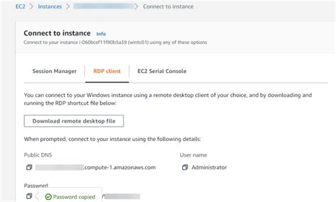 Terraform AWS Windows Instance Code Virtualization Howto