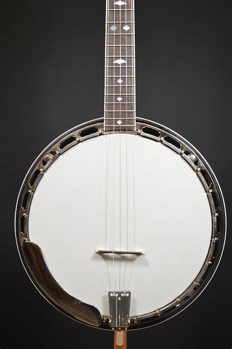 Flinthill Fsb 250 5 String Bluegrass Banjo Reverb