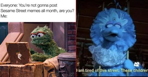 30 Funny Sesame Street Memes Packed With Nostalgia So You Dont Forget