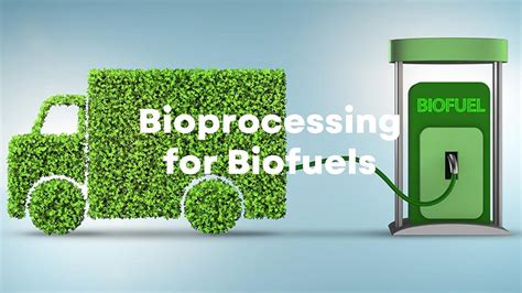 Bio Processing For Bio Fuels Biofuels Are An Alternative To Fossil