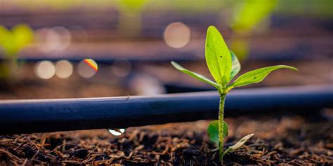 What Is Best Water Saving Irrigation System