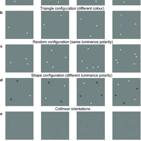 example stimuli used in experiments 1 3 stimuli consisted of a small